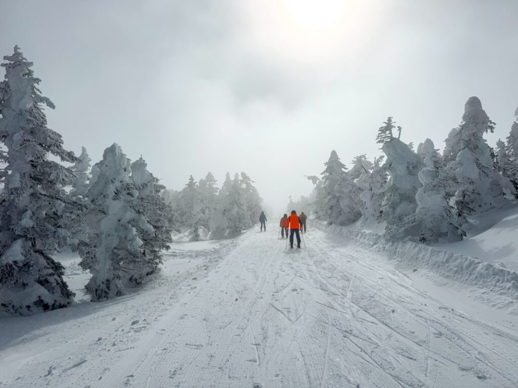 Nagano in Winter: Guide to Skiing, Hot Springs, & Monkeys