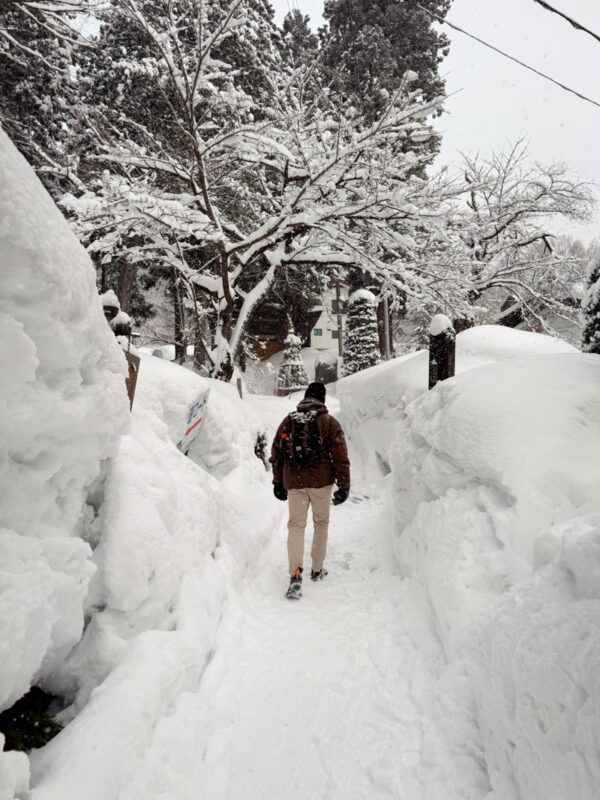 Snow Monkeys in Nagano: Jigokudani Yaen-Koen Guide