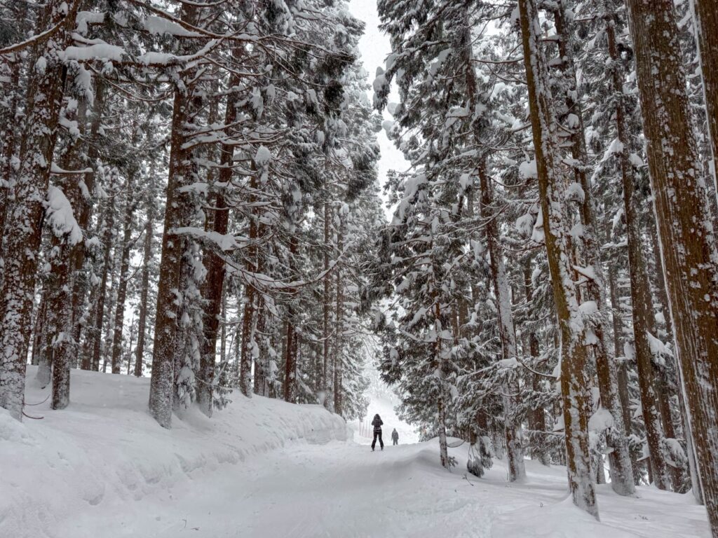 Nozawa Onsen Village Guide: Onsens, Skiing & Things to Do