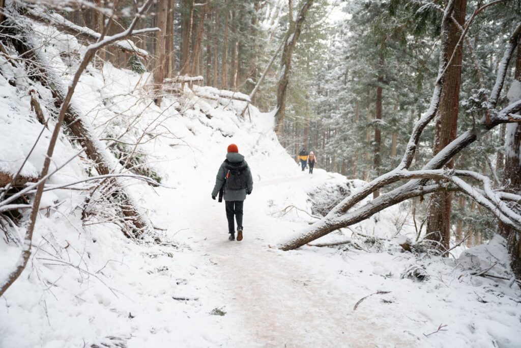 Snow Monkeys in Nagano: Jigokudani Yaen-Koen Guide