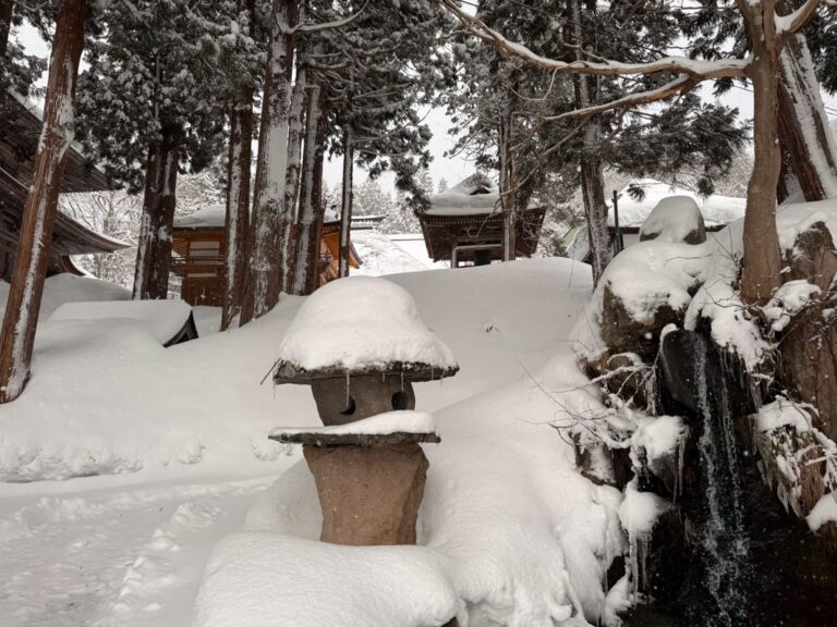 Nagano in Winter: Guide to Skiing, Hot Springs, & Monkeys